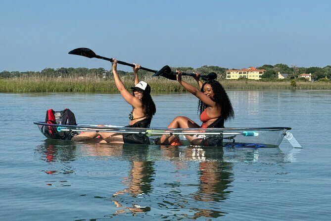 Dolphins and Wildlife Ecotour - The Itinerary in Detail