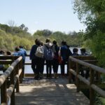 Doñana National Park in 4x4 and El Rocío - Authenticity & What You’ll Take Away