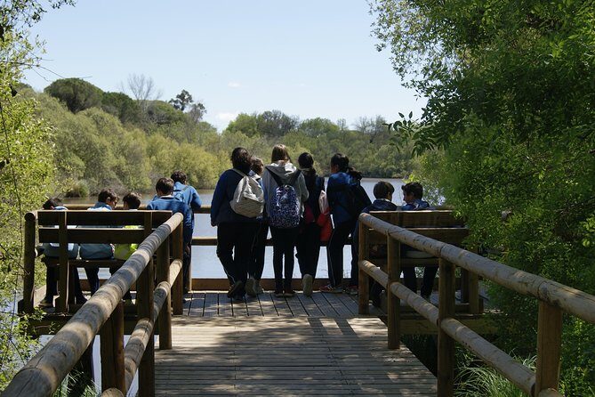 Doñana National Park in 4x4 and El Rocío - Authenticity & What You’ll Take Away