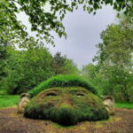 Donegal: Oakfield Park Entry Ticket - What to Expect When Visiting Oakfield Park