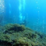 Double Scuba Diving - Who Should Consider This Tour?