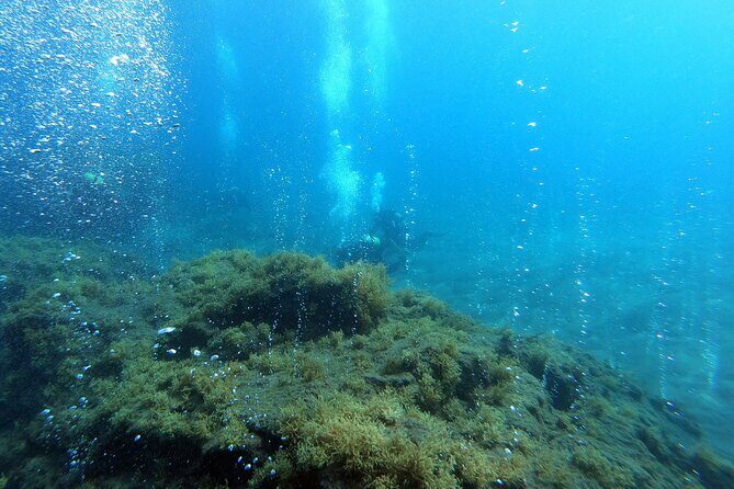 Double Scuba Diving - Who Should Consider This Tour?