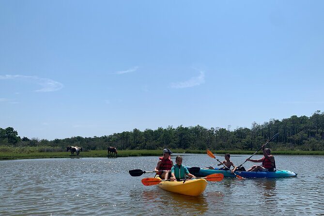 Double Sit on Top Kayak Rental at Assateague Island, MD - The Experience Itself: What You Can Expect