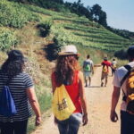 Douro: exclusive experience to Niepoort with paired lunch - An Honest, In-Depth Look at the Douro: Niepoort Private Tour
