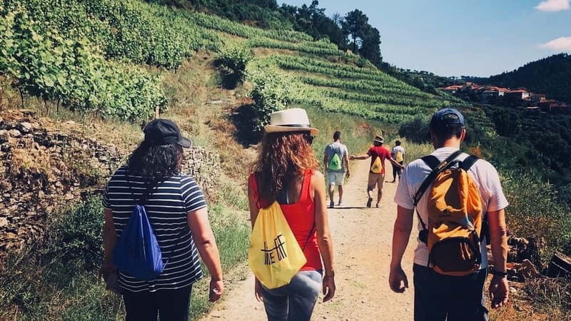 Douro: exclusive experience to Niepoort with paired lunch - An Honest, In-Depth Look at the Douro: Niepoort Private Tour