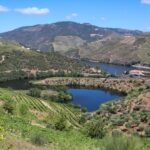 Douro Valley: Douro Valley Tour Including 3 Wineries - What Travelers Say & Why It Matters
