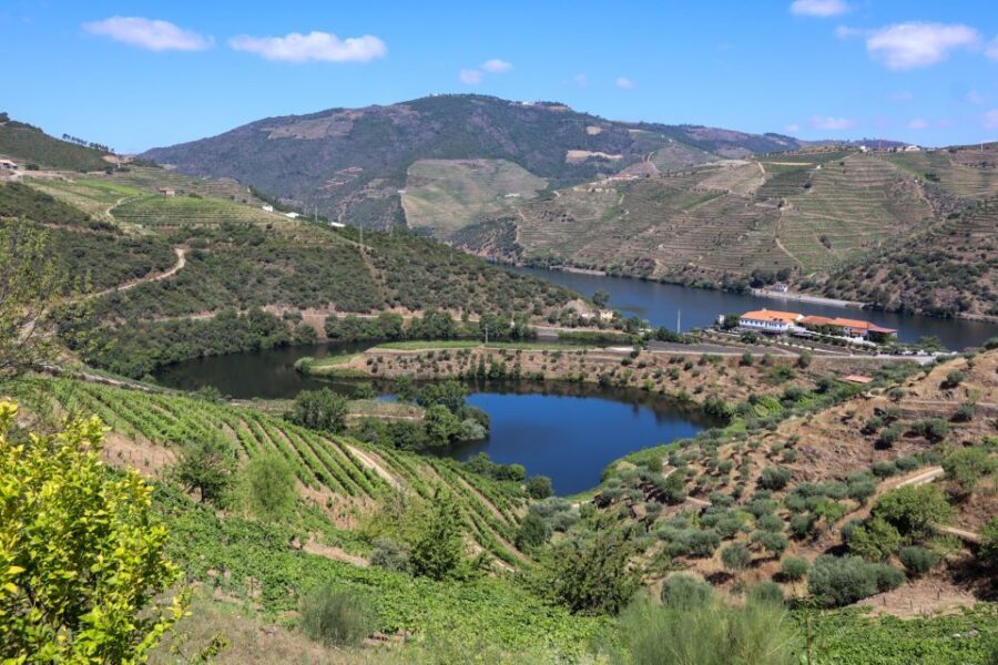 Douro Valley: Douro Valley Tour Including 3 Wineries - What Travelers Say & Why It Matters