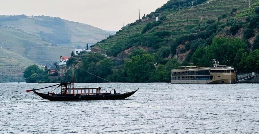 Douro Valley Journey: 4 Cities and Wine Estate All-Included - Considering the Price: Is $135 Worth It?