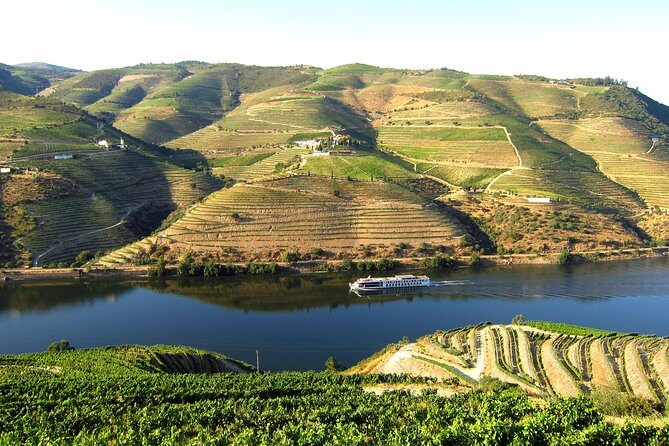 Douro Valley Private Full-Day Tour from Porto - The Schedule in Detail