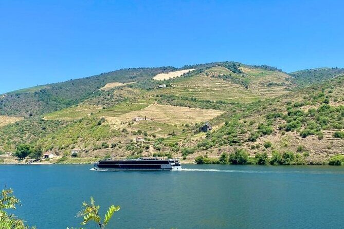 Douro Valley Private Tour: 2 Farms, Lunch & Boat Trip - Why This Tour Offers Good Value
