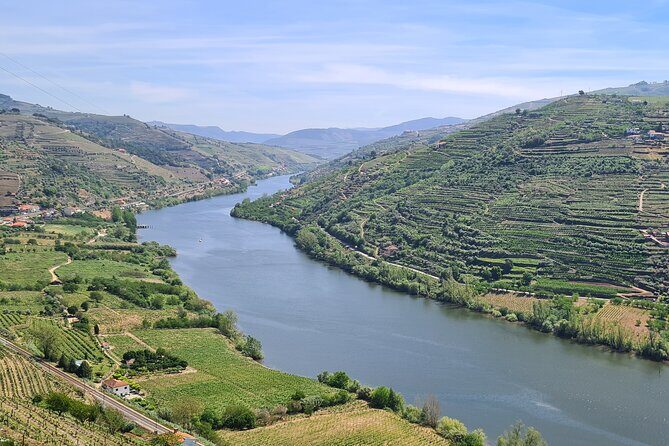 Douro Valley Private Tour (winery + boat + viewpoint) - Final Thoughts