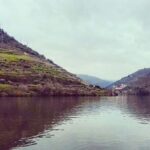 Douro Valley Private Wine Tour from Lisbon - Optional River Cruise: Relaxing with a View