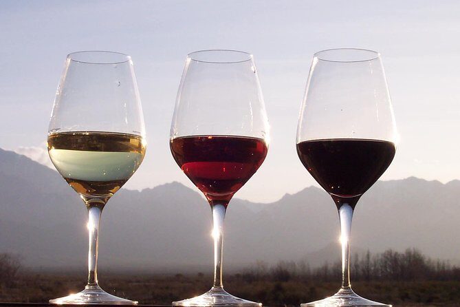 Douro Valley Private Wine Tour From Porto - The Practical Aspects: Transportation, Duration, and Flexibility