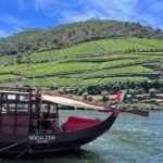 Douro Valley Tour - 3 Wine tastings, Lunch & river Cruise - The Value of This Experience