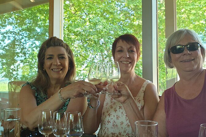 Douro Valley Tour Wine and breathtaking views - Vineyard Visits and Wine Tastings