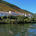 Douro Valley Winery Day Trip with River Cruise - What Travelers Say