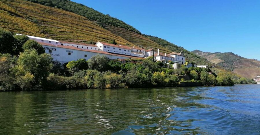 Douro Valley Winery Day Trip with River Cruise - What Travelers Say