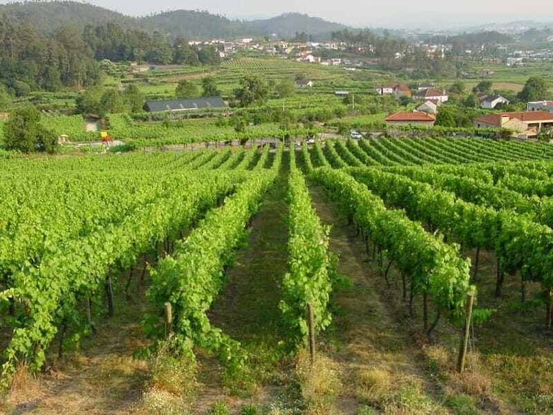 Douro & Vinho Verde Private Tour - Final Thoughts: Is This Tour Worth It?