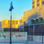 Downtown Reno Tour - Who Should Book This Tour?