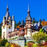 Dracula Castle, Peles Castle & Brasov City, Private Tour - Authentic Experiences and What Travelers Say
