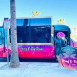 Drag Queen Hosted Mobile Theater Palm Springs Sightseeing Tours - Final Thoughts
