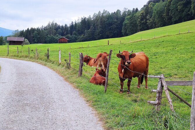 Dragon Slayer Way Beer Hike Food Experience Private Tour (departs Munich) - Practical Details and What It Means for You