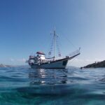 Dreamy Sails Daily Cruises at Argostoli Kefalonia Island - What Travelers Are Saying