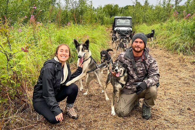 Dryland Dog Sled Tour - Practical Details to Know
