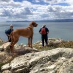 Dublin: Howth Coastal Hiking Tour - Why This Tour Stands Out