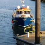 Dublin: Howth Cruise and Dine Experience - Who Would Enjoy This Tour?