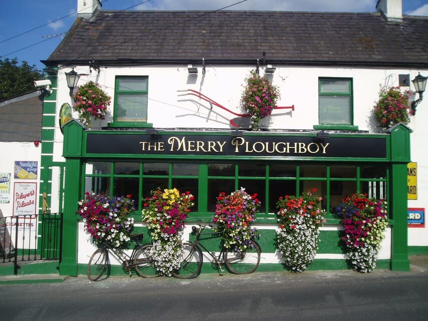 Dublin: Irish Night Show at the Merry Ploughboy Pub - The Value of This Experience