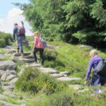 Dublin: Mountains and Megaliths Trek - An Adventure in Nature and History