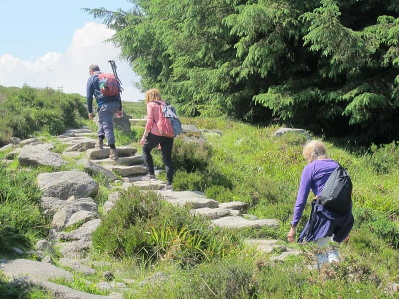 Dublin: Mountains and Megaliths Trek - An Adventure in Nature and History
