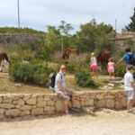 Dubrovnik: Game of Thrones Locations Driving Tour - The Sum Up