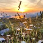 Dubrovnik: Sunset Panorama Tour with Glass of Wine - Transportation, Timing, and Group Dynamics