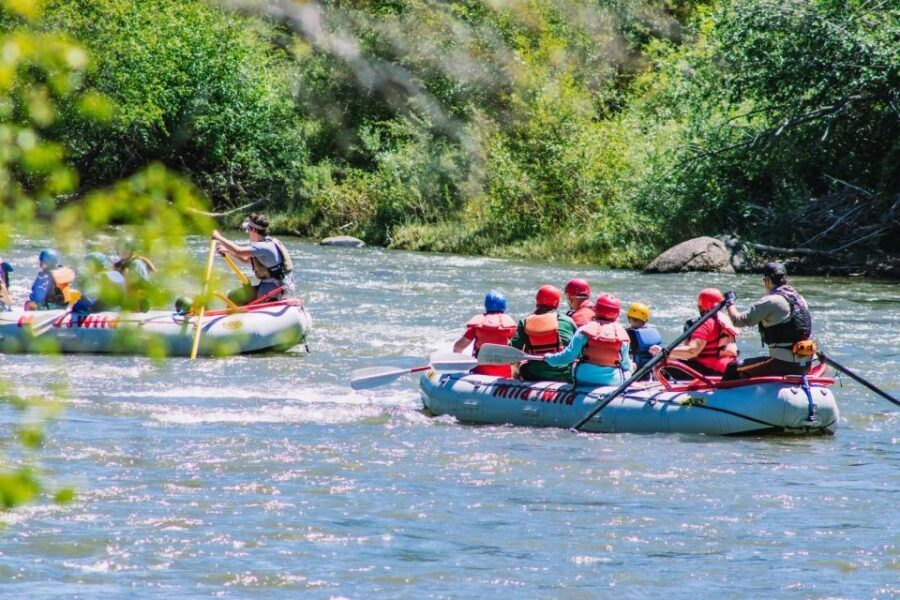 Durango 3/4 Day Rafting Trip with Lunch - Lower Animas River - The Experience Guides