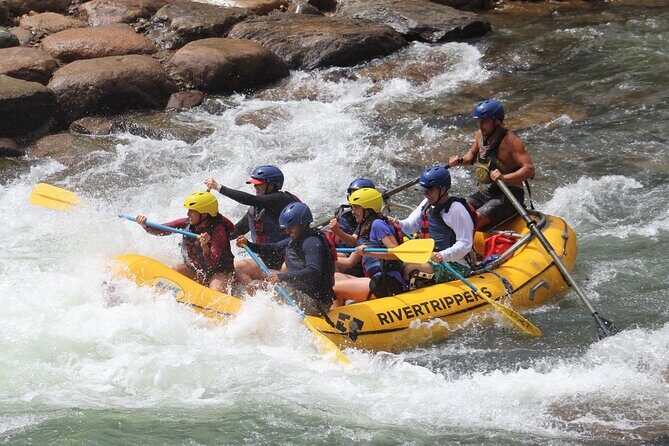 Durango "4.5 Half-Day" Rafting Trip Down the Animas River - A Closer Look at the Highlights