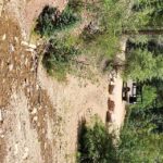 Durango: Waterfalls and Mountains La Plata Canyon Jeep Tour - Who Will Love This Tour?