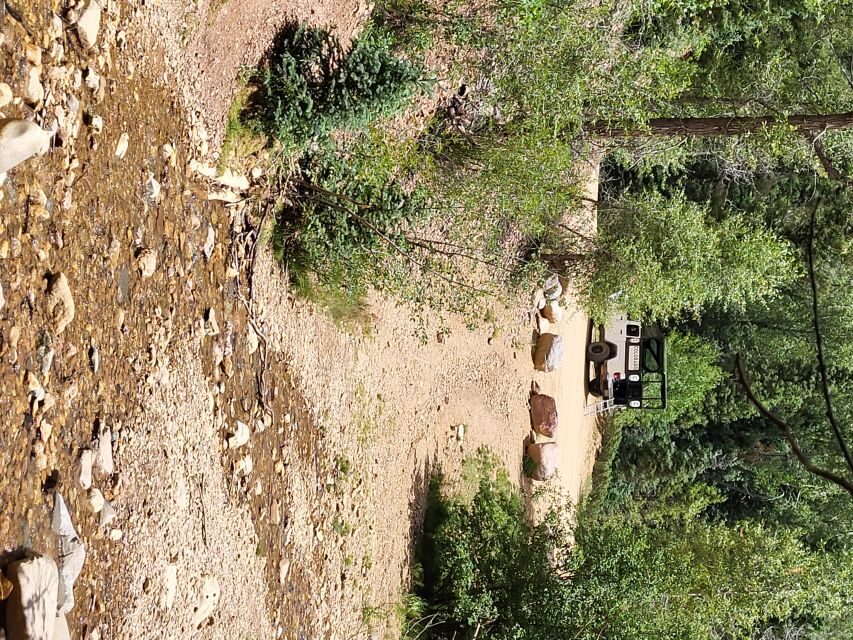 Durango: Waterfalls and Mountains La Plata Canyon Jeep Tour - Who Will Love This Tour?