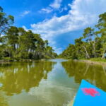 Durres & Karavasta National Park Tour on Luxury Land Rover - Pricing and Value