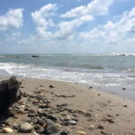 Durrës: Walking Tour and Roman Amphitheater - The Itinerary Breakdown: What to Expect