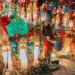 Dyker Heights Christmas Lights Express Bus from Times Square - What You’ll Experience on the Tour