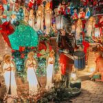 Dyker Heights Christmas Lights Tour from Times Square - A Detailed Look at the Tour Experience