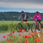 E-Bike Day Trip: Visit a Roman Castle and Taste Craft Beer - Who Should Consider This Tour?