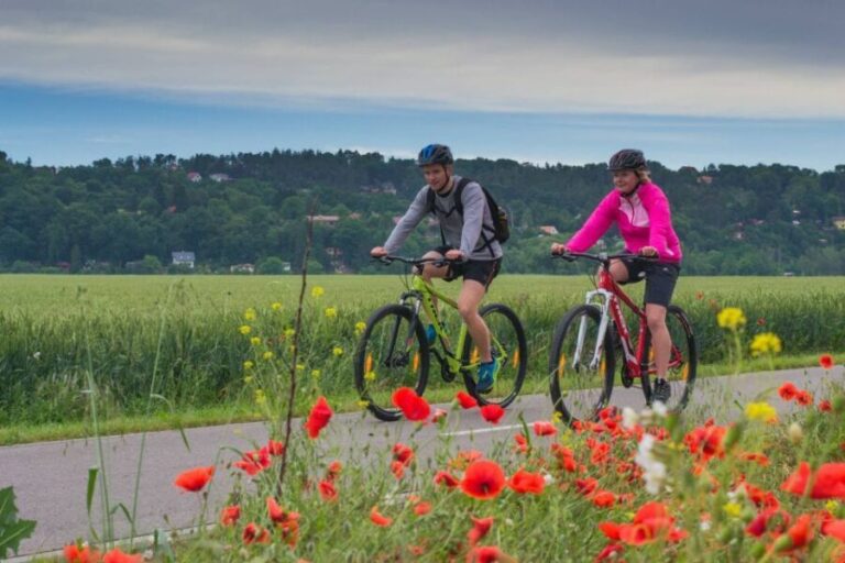E-Bike Day Trip: Visit a Roman Castle and Taste Craft Beer - Who Should Consider This Tour?