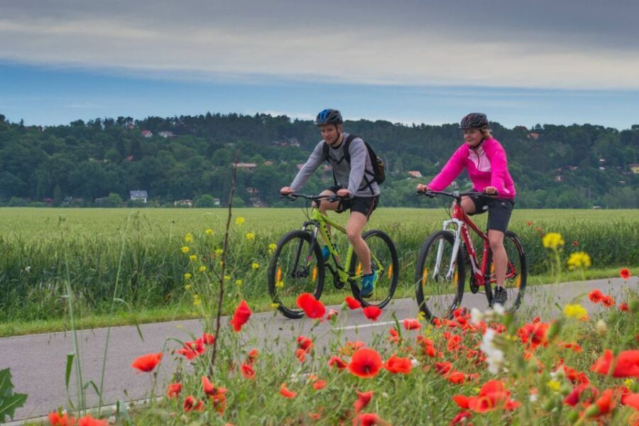 E-Bike Day Trip: Visit a Roman Castle and Taste Craft Beer - Who Should Consider This Tour?