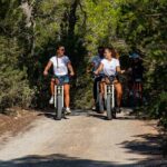 E-Bike Rental Adventure in Ibiza - Final Thoughts: The Pros and Cons