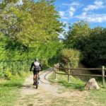 E-Bike tour and Wine tasting from Desenzano Inland - What to Expect on Each Stop