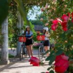 E-bike Tour by ComhiC - Tête d'Or Park - 2h - Who Should Consider This Tour?