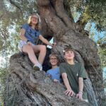 E-bike tour in Ostuni. Oil mill, Dolmen and huge olive trees - The Sum Up